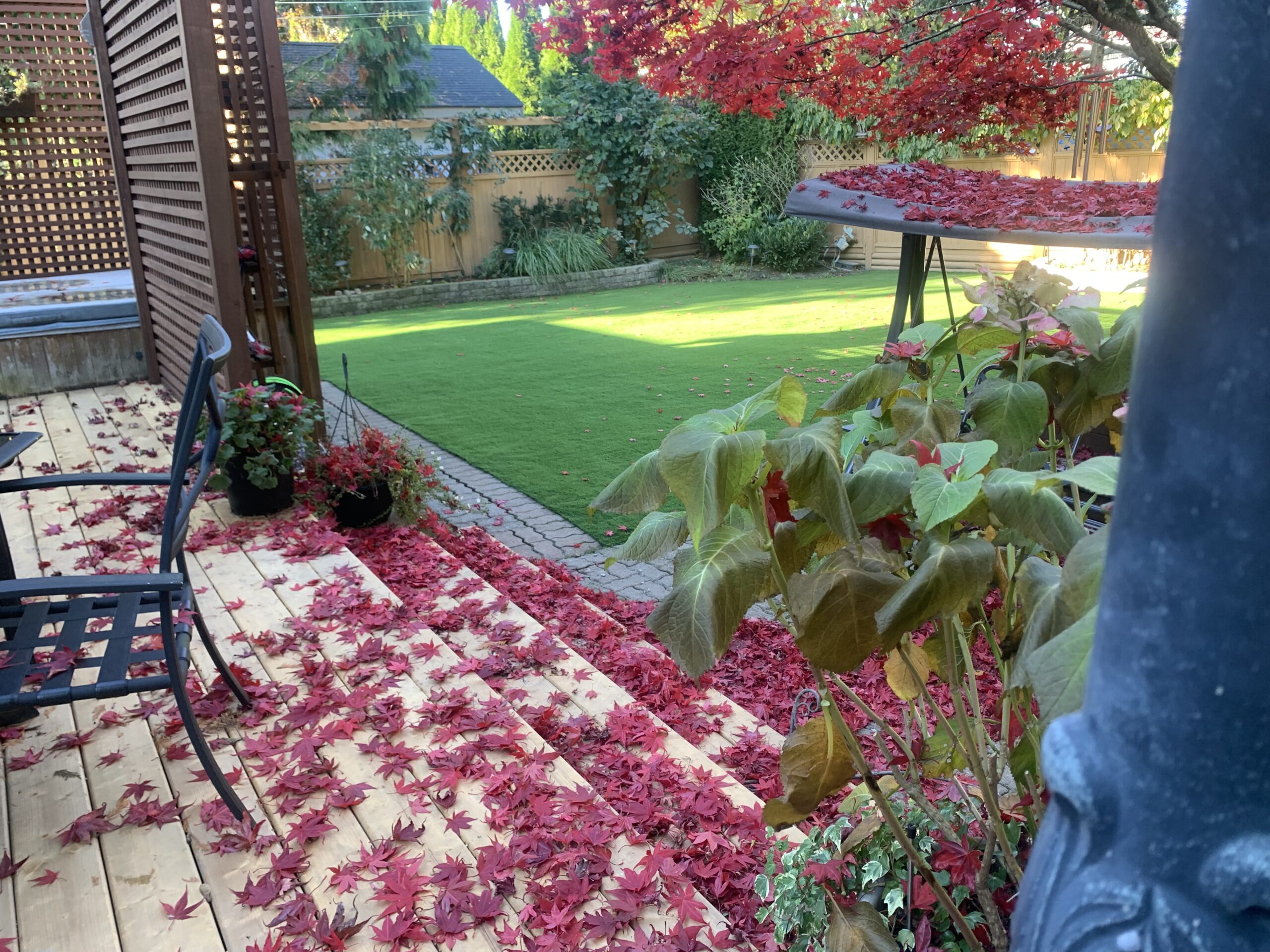 Turf Installations - Ace Turf